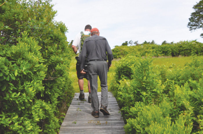 Nantucket’s Guided Walkabout - Exploring Nantucket - Yesterdays Island ...