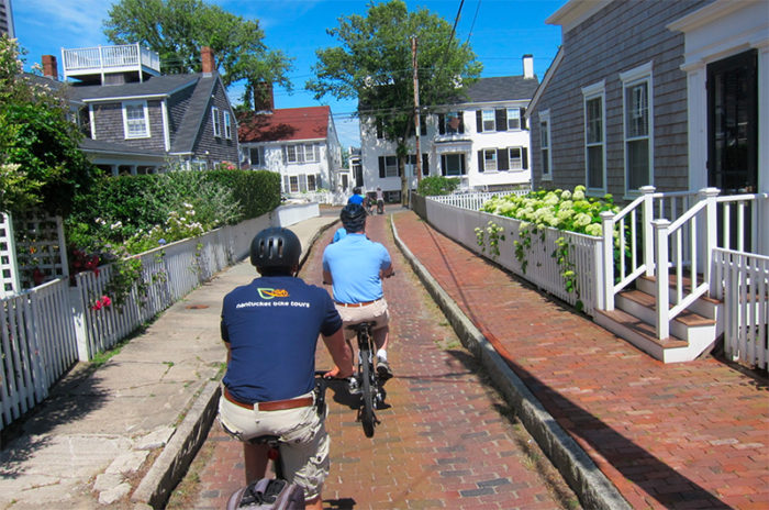 Wildflowers on Nantucket - Yesterdays Island, Todays Nantucket