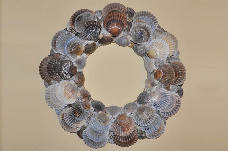 Scallop Shell Craft Ideas - Yesterdays Island, Todays Nantucket