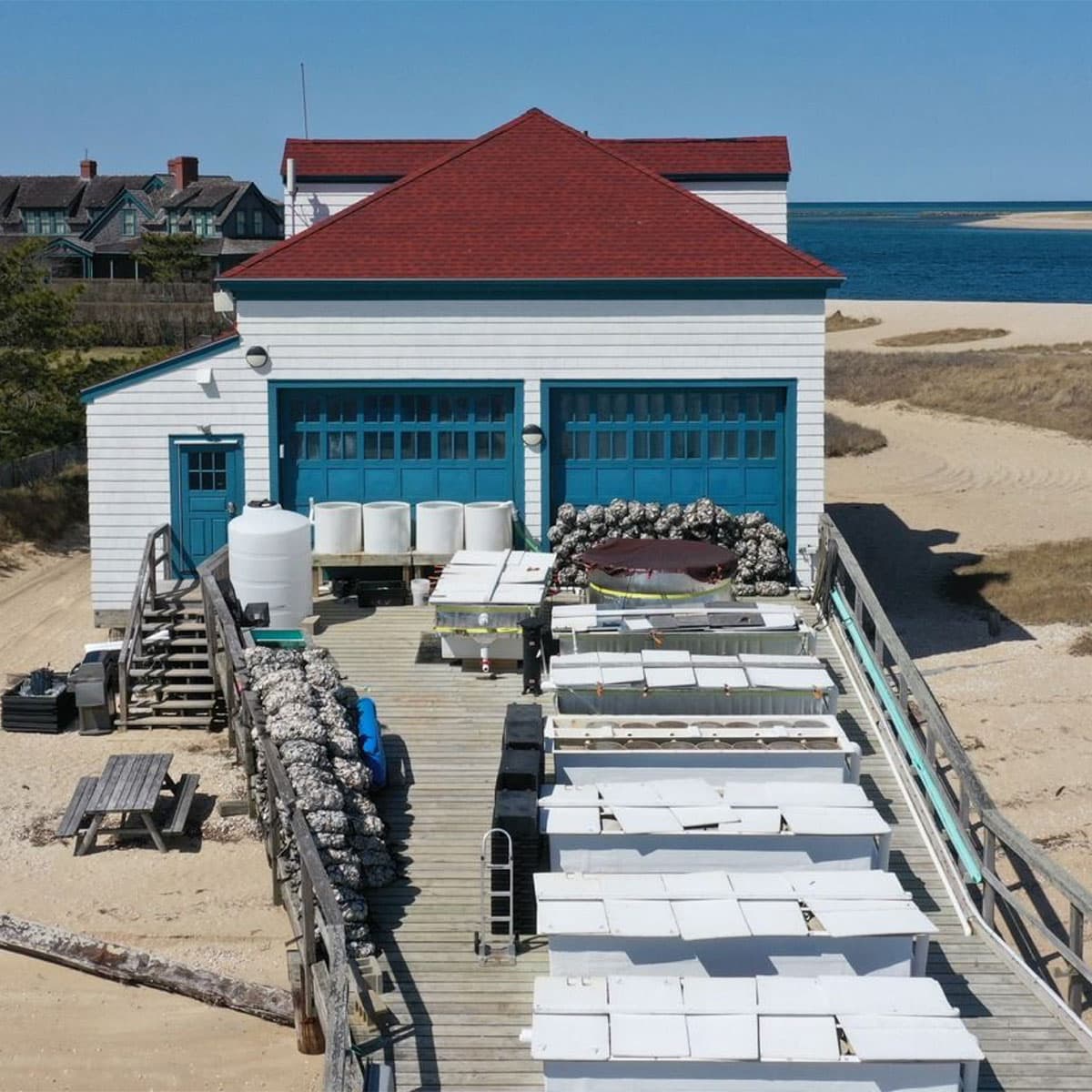 It's Okay To Be Shellfish - Yesterdays Island, Todays Nantucket