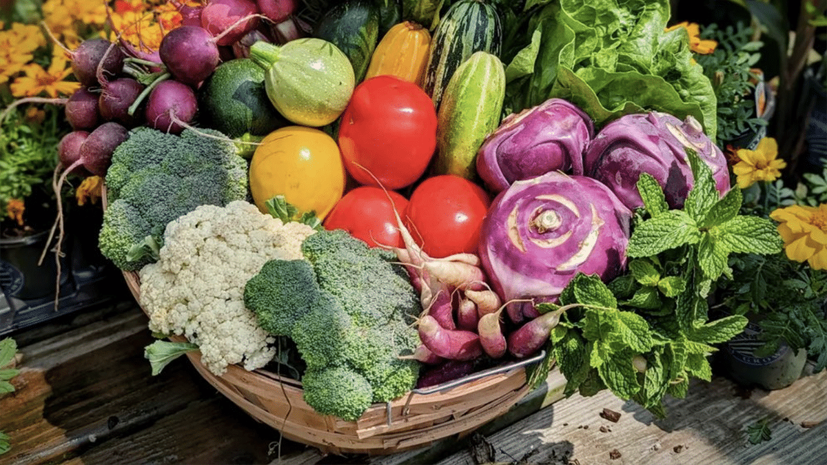 What's New on Nantucket - Yesterdays Island, Todays Nantucket